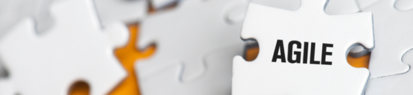 Supporting RPA with Agile Methodologies: Faster and More Efficient Results